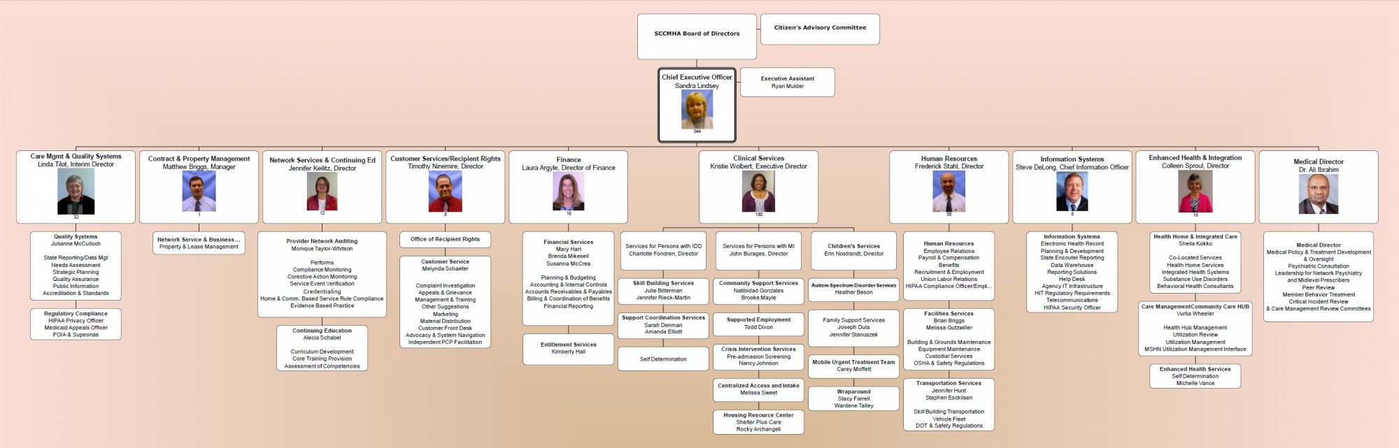Psychiatric Hospital Organizational Chart
